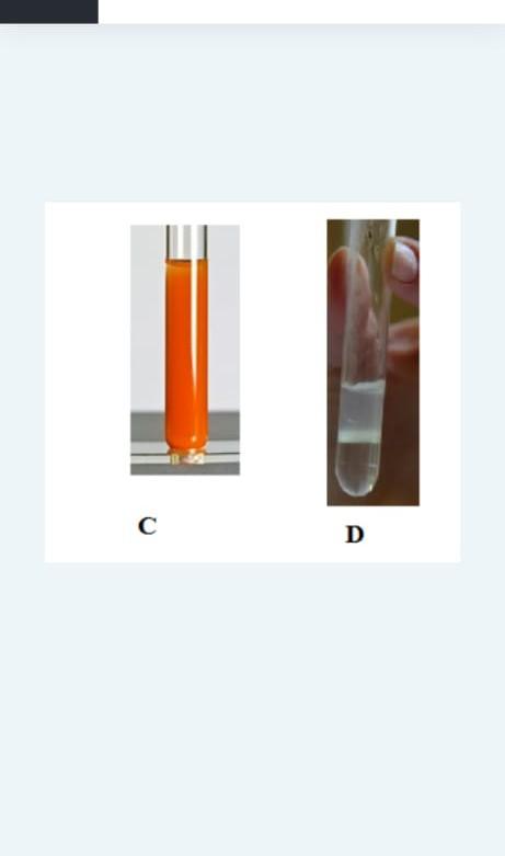 Solved Question 1 Not yet answered Marked out of 1 P Flag | Chegg.com