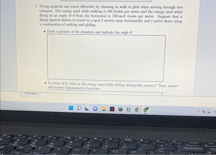 Solved 1. Flying squirrels can travel efficiently by | Chegg.com