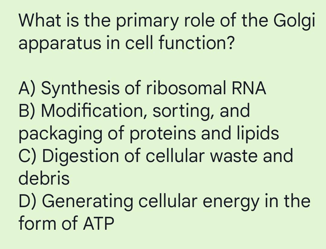 Solved What is the primary role of the Golgi apparatus in | Chegg.com