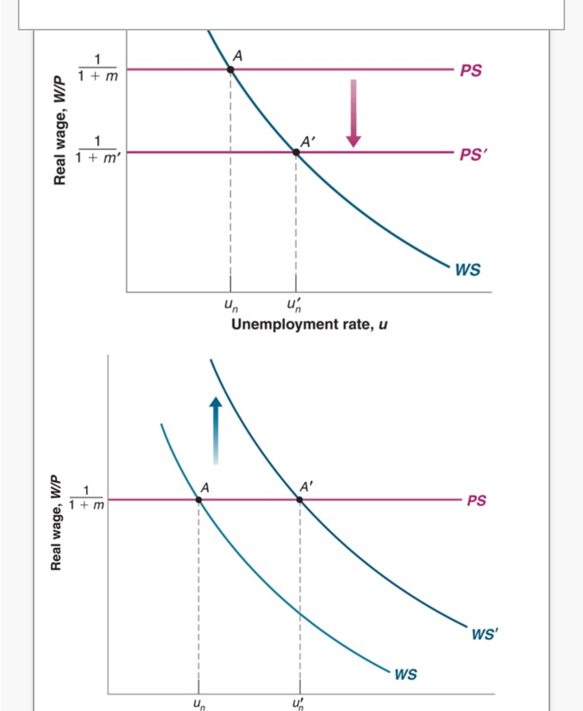 Solved Choose ONE of the two graphs below (specify which you | Chegg.com