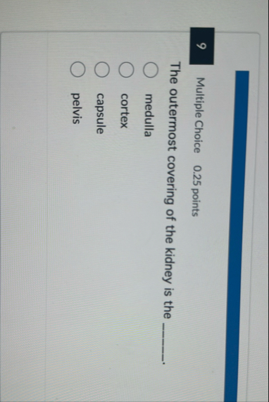 Solved Multiple Choice 0.25 ﻿pointsThe outermost covering of | Chegg.com