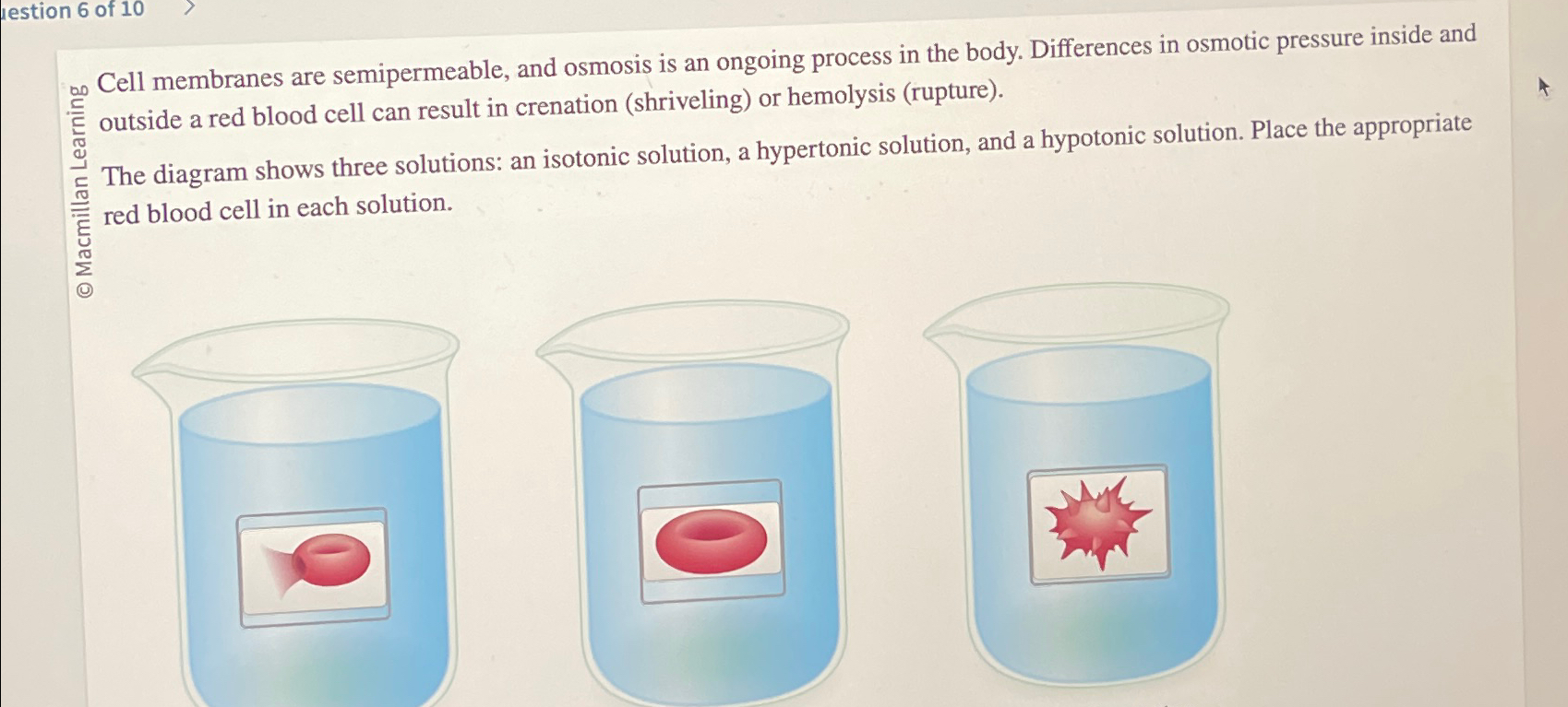 Solved lestion 6 ﻿of 10outside a red blood cell can result | Chegg.com
