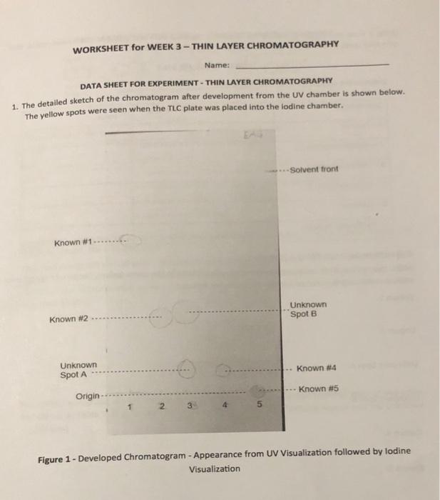 Solved WORKSHEET for WEEK 3 - THIN LAYER CHROMATOGRAPHY | Chegg.com