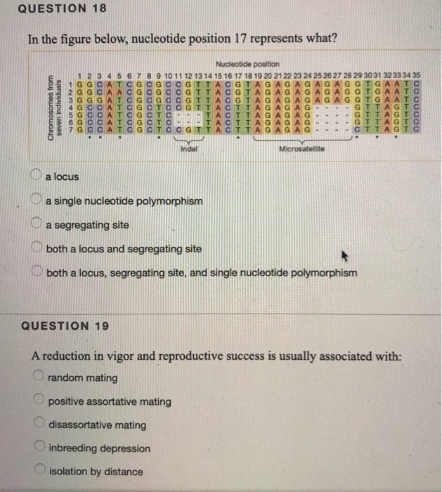 Solved QUESTION 18 In the figure below, nucleotide position | Chegg.com