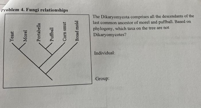 Solved Problem 3. Comparing tree types To the right are four | Chegg.com