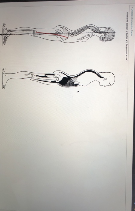 Solved Question Completion Status What is the position of | Chegg.com