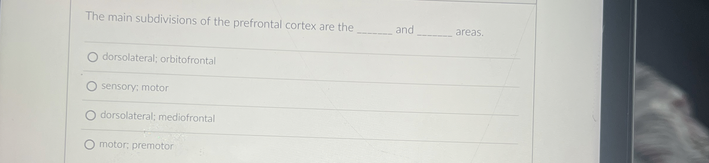 Solved The main subdivisions of the prefrontal cortex are | Chegg.com