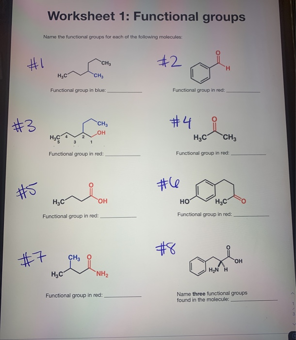 Solved Worksheet 1: Functional groups Name the functional | Chegg.com