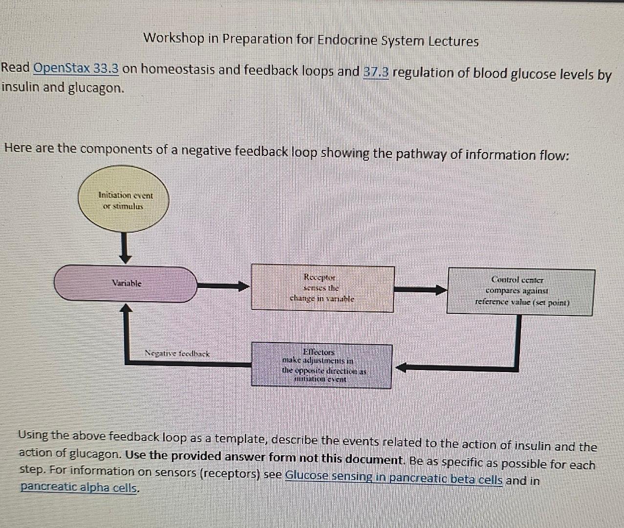 Solved Read Openstax 33.3 on homeostasis and feedback loops | Chegg.com