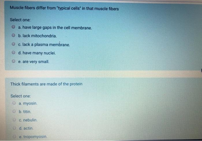 Solved Detachment of myosin cross-bridges occurs during the | Chegg.com
