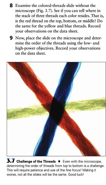 Solved 3 Record Your Observations Of The Colored Threads