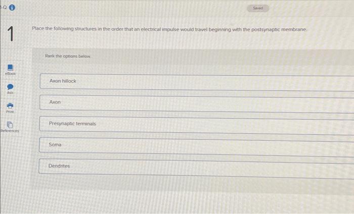 Solved Pace the following structures in the order that an | Chegg.com