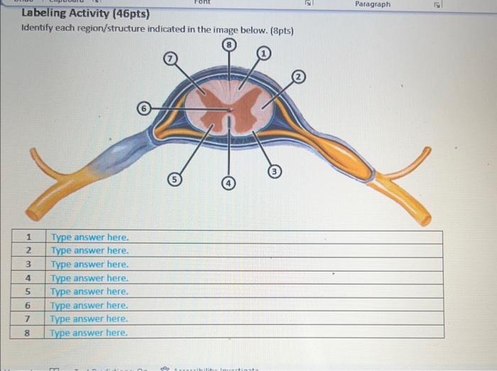 Solved Labeing Activity (46pts) Identify each | Chegg.com