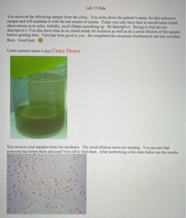 Solved Lab 13 Data You received the following sample from | Chegg.com