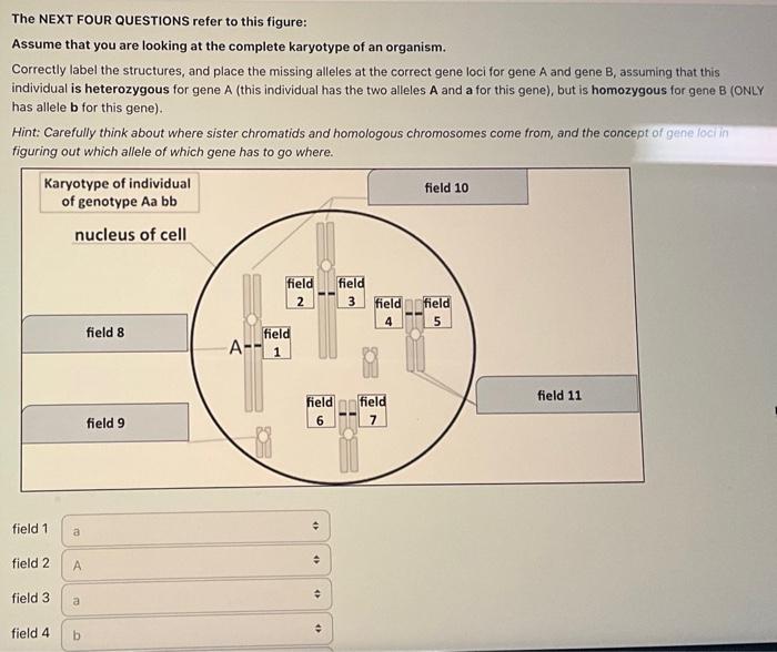 Solved The Next Four Questions Refer To This Figure Assume