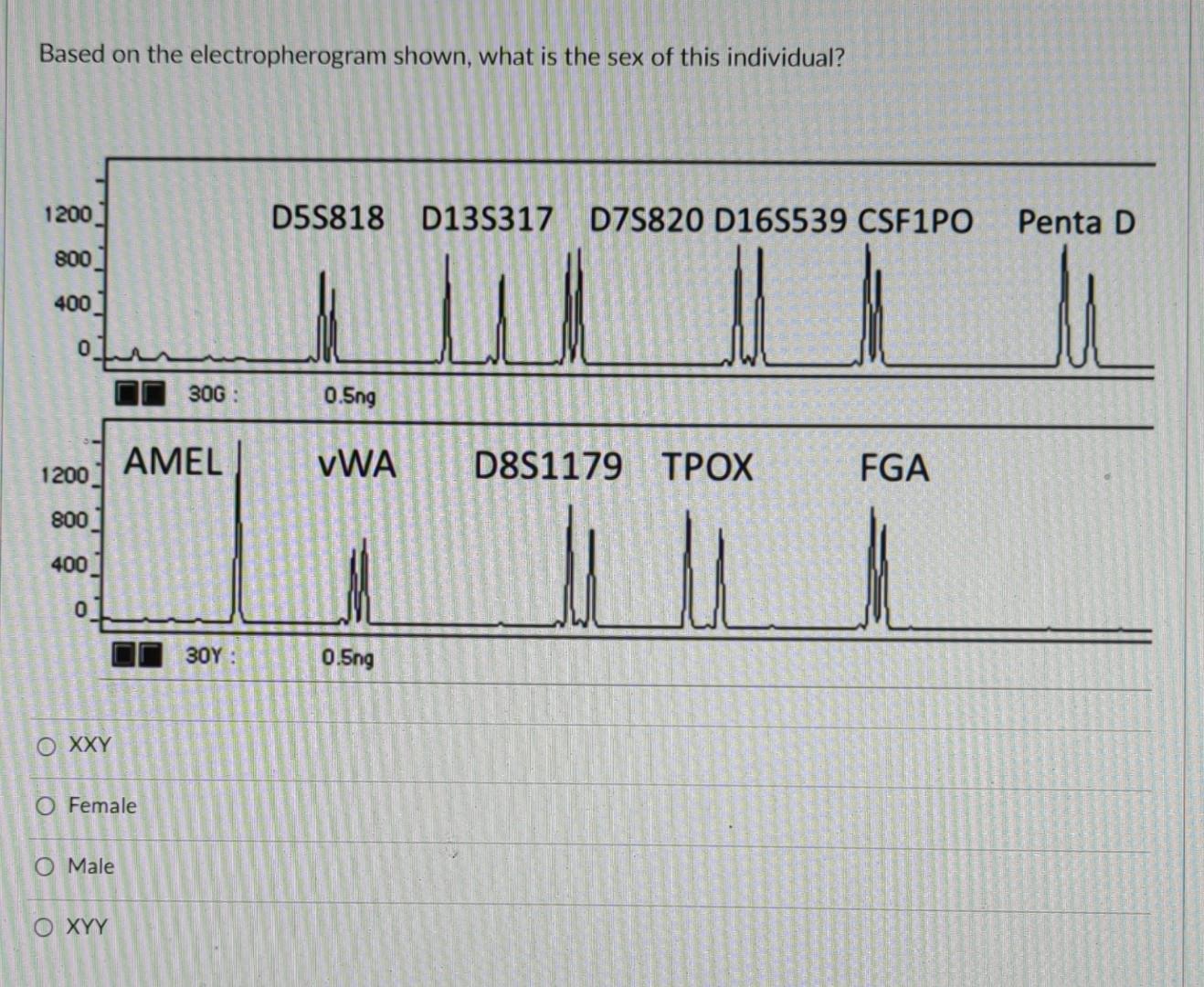 Solved Based on the electropherogram shown, what is the sex | Chegg.com