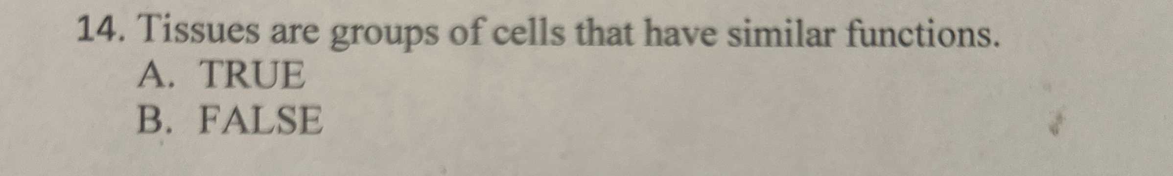 Solved Tissues are groups of cells that have similar | Chegg.com