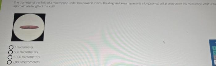Solved The diameter of the field of a microscope under low | Chegg.com