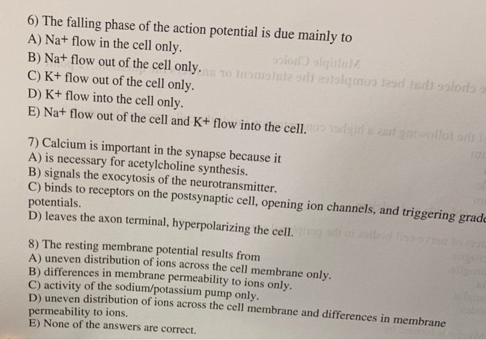 Solved 6) The falling phase of the action potential is due | Chegg.com