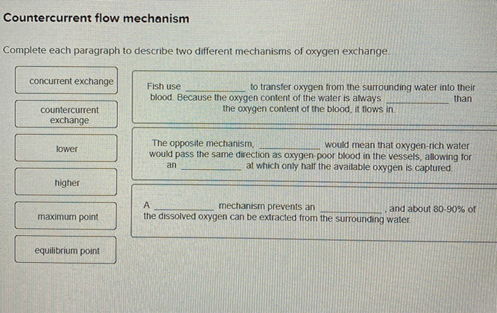 Solved Countercurrent flow mechanism Complete each paragraph | Chegg.com