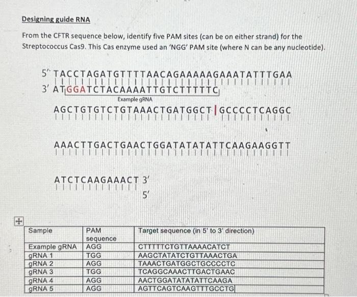 Designing guide RNA From the CFTR sequence below, | Chegg.com
