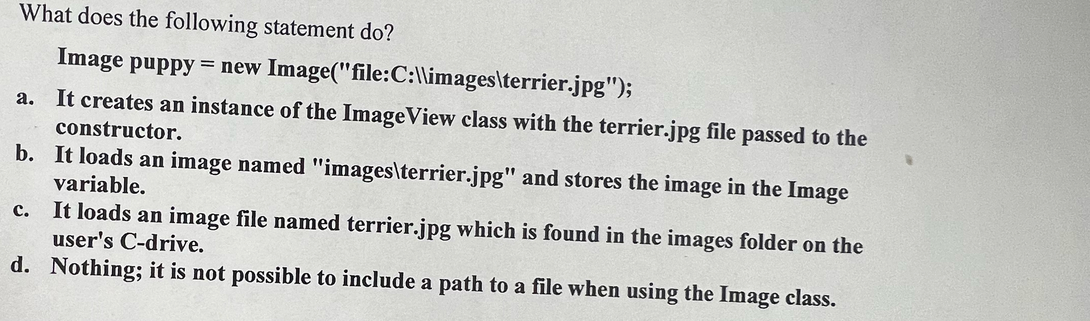 Solved What does the following statement do?Image puppy = | Chegg.com