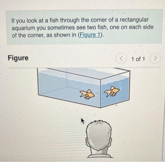 Solved If you look at a fish through the corner of a | Chegg.com