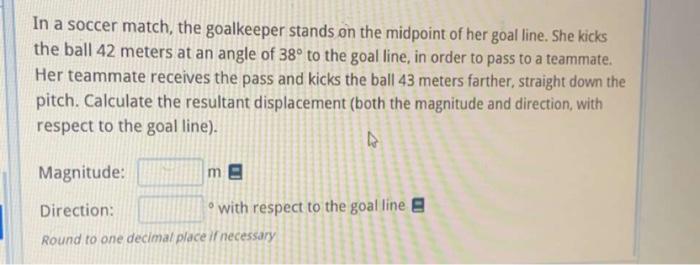 Solved In a soccer match, the goalkeeper stands on the | Chegg.com