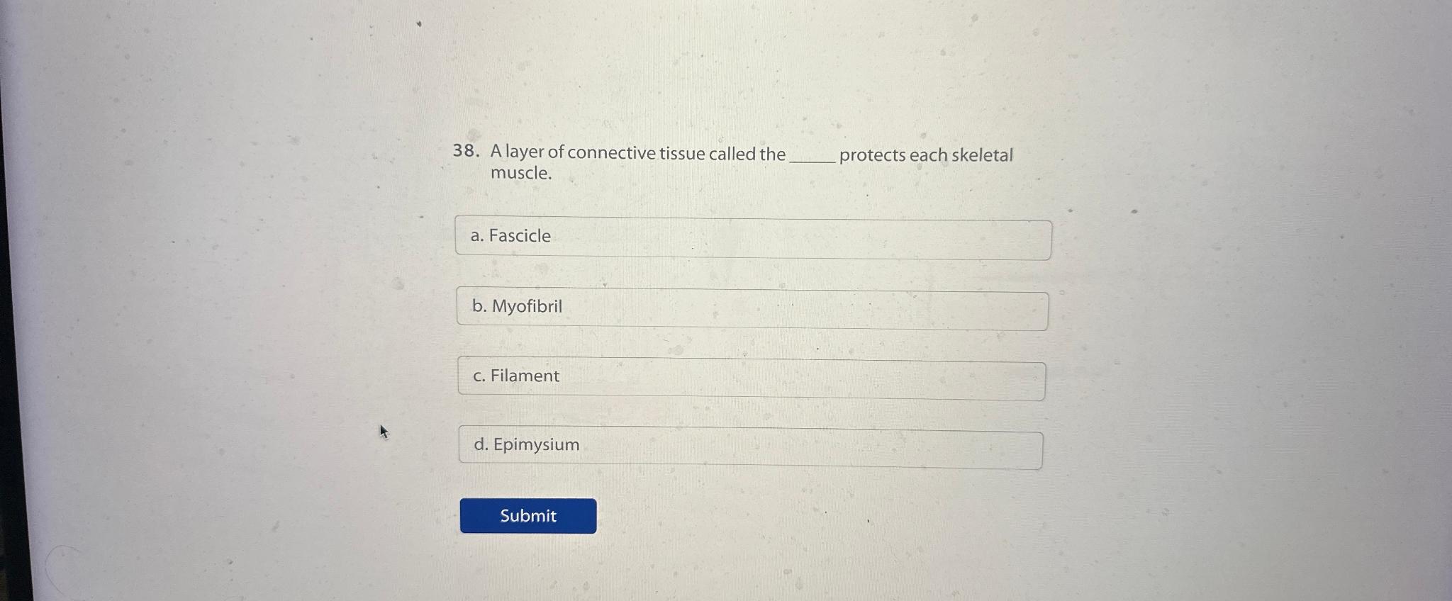 Solved A layer of connective tissue called the protects each | Chegg.com