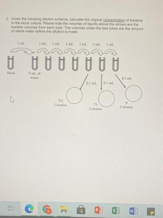 Solved 2. Given the following dilution scheme, calculate the | Chegg.com