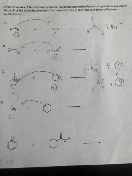 Solved Draw structures of the expected products (including | Chegg.com