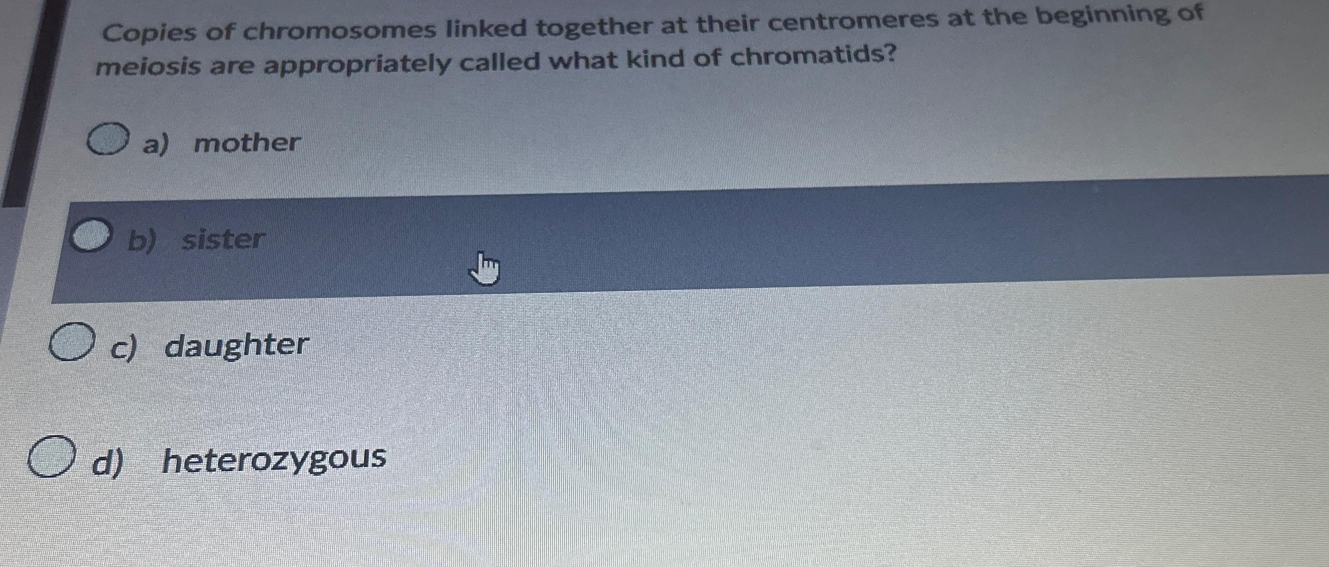 Solved Copies of chromosomes linked together at their | Chegg.com