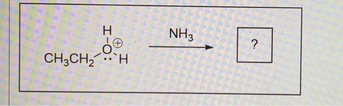 Solved NH3 I-O: ? CH3CH, H | Chegg.com