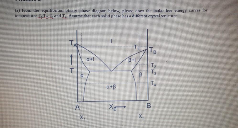 Solved (a) From the equilibrium binary phase diagram below, | Chegg.com