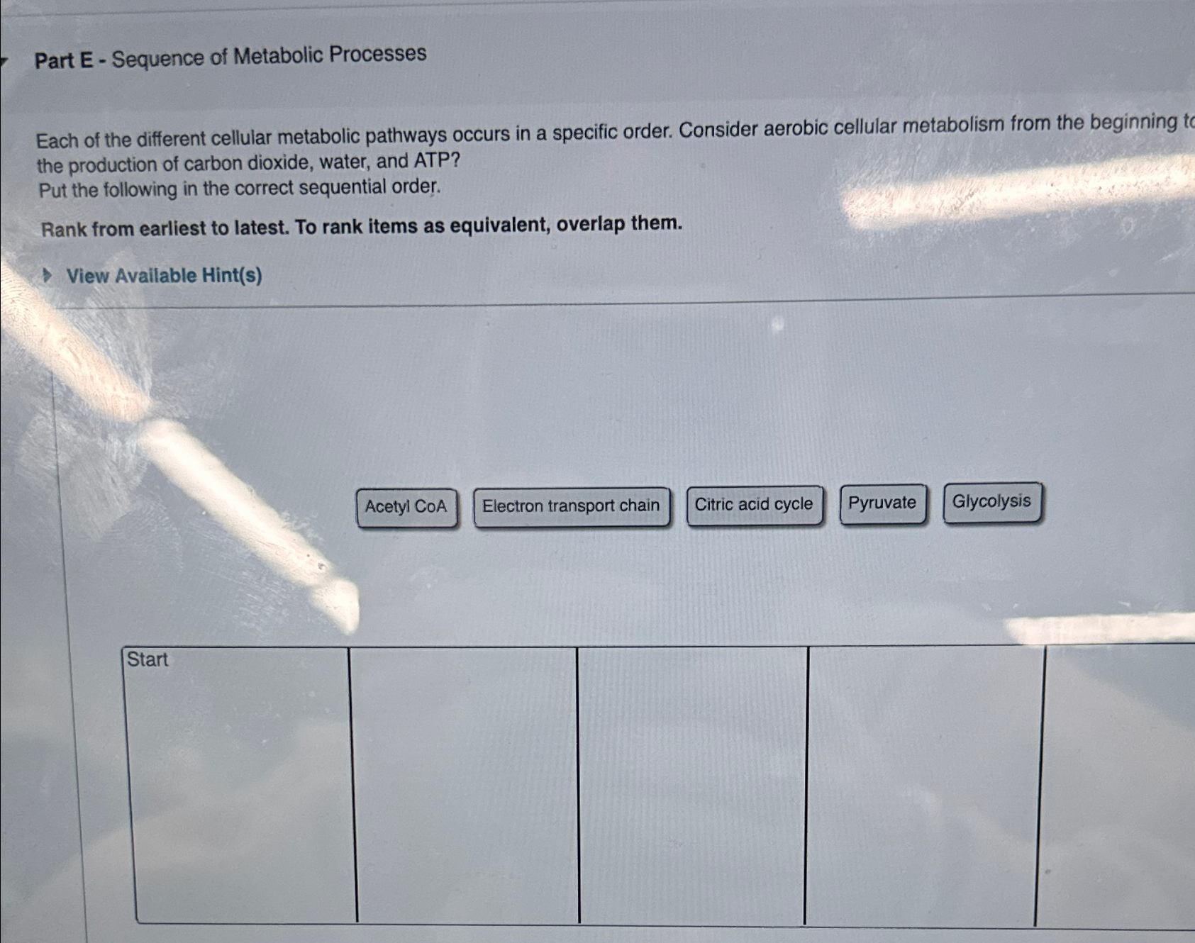 Solved Part E - ﻿Sequence of Metabolic ProcessesEach of the | Chegg.com