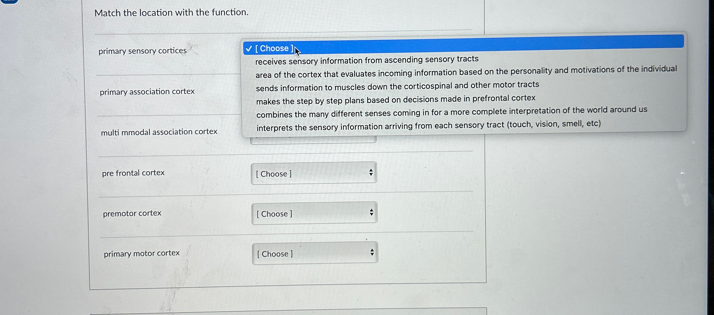 Solved Match the location with the function.primary sensory | Chegg.com