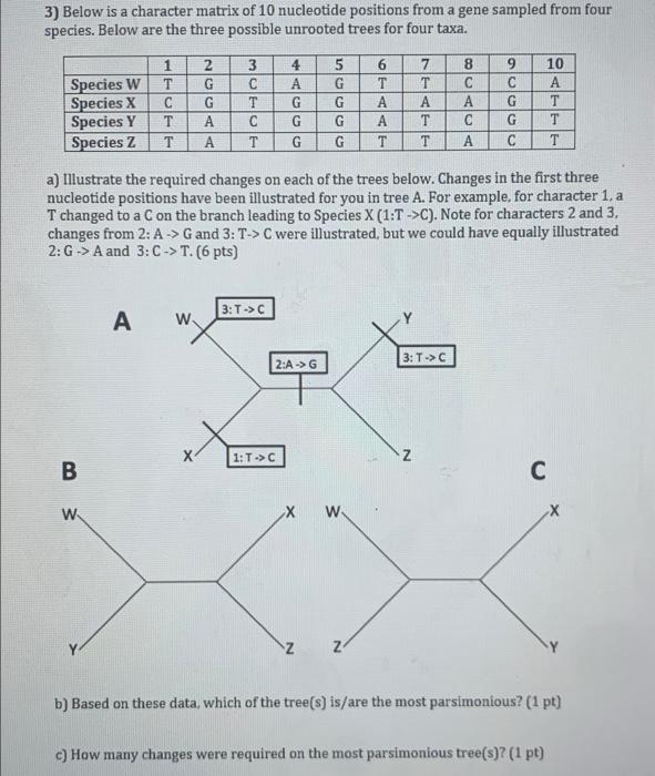 Solved 3) Below is a character matrix of 10 nucleotide | Chegg.com