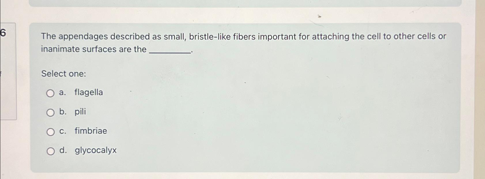 Solved The appendages described as small, bristle-like | Chegg.com