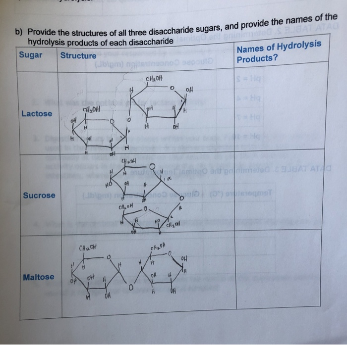 Solved b) Provide the structures of all three disaccharide | Chegg.com