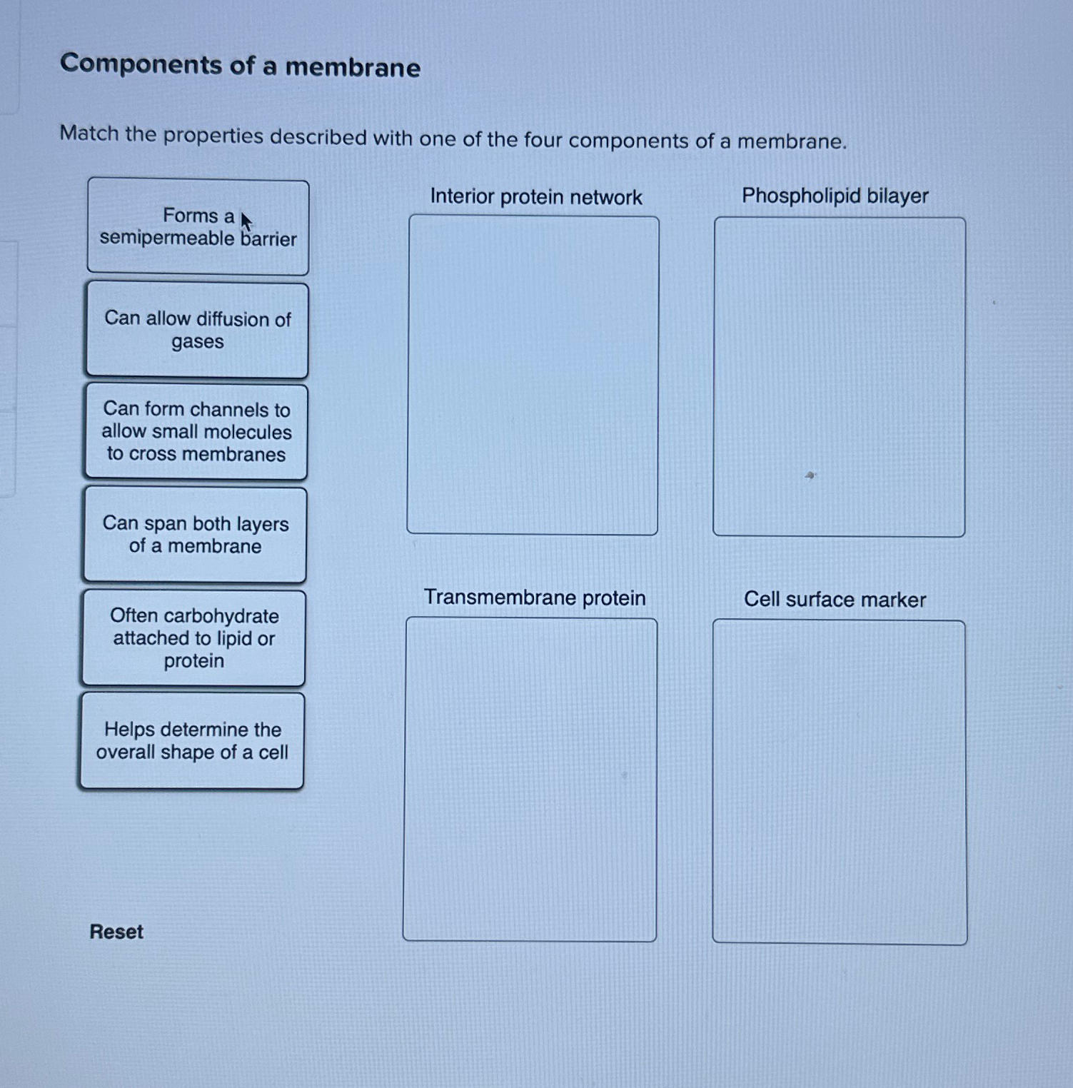 Solved Components of a membraneMatch the properties | Chegg.com