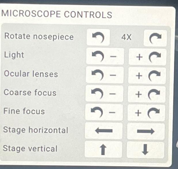 Solved MICROSCOPE CONTROLS\table[[Rotate | Chegg.com