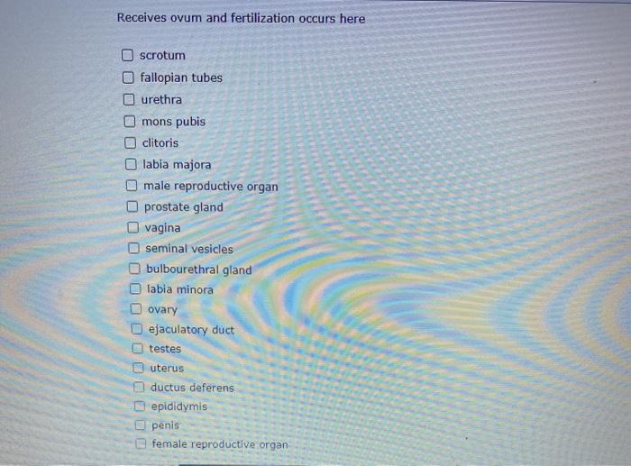 Solved Elongated, hair covered skin folds analogous to the | Chegg.com