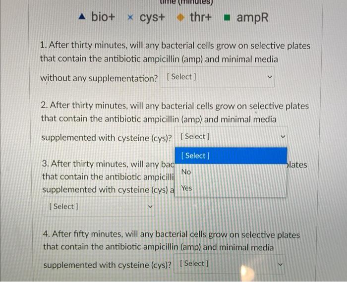 Solved You've set up an interrupted mating experiment using | Chegg.com