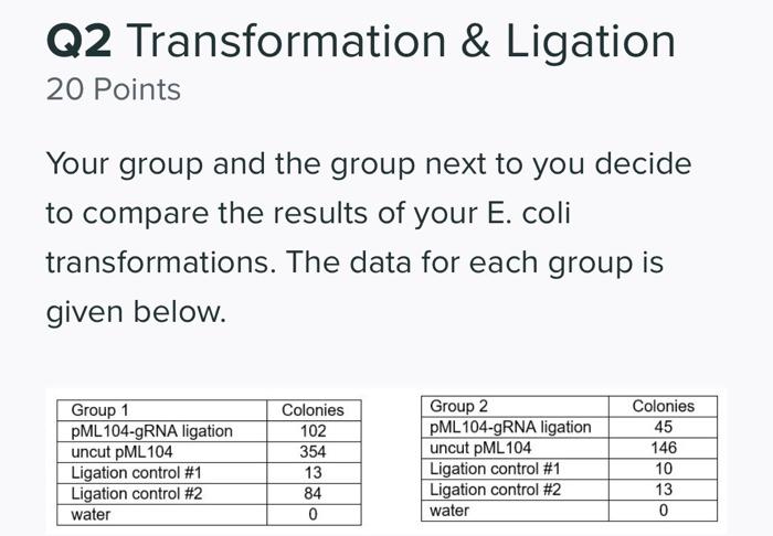 Solved Q2 Transformation \& Ligation 20 Points Your group | Chegg.com