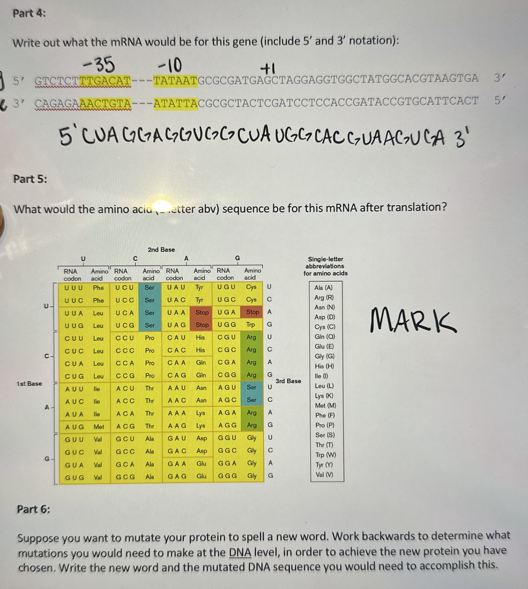 Solved Part 5:What would the amino acia , . .tter abv) | Chegg.com