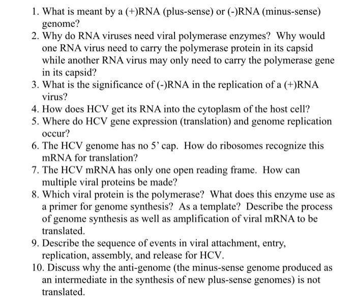 Solved 1. What is meant by a (+)RNA (plus-sense) or (-)RNA | Chegg.com