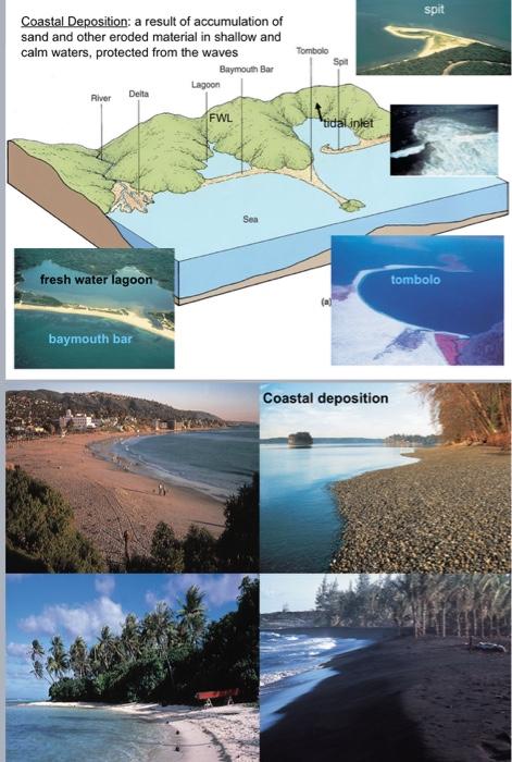 Solved L 13 P.1 Coastal Landforms Shaping of the coastline | Chegg.com