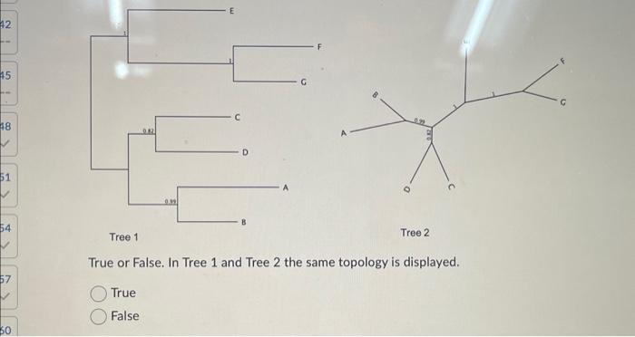 Solved Tree 2 True or False. In Tree 1 and Tree 2 the same | Chegg.com