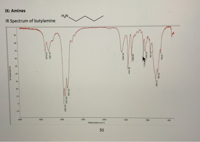 Solved IX: Amines HN IR Spectrum of butylamine TO 100459 SO | Chegg.com