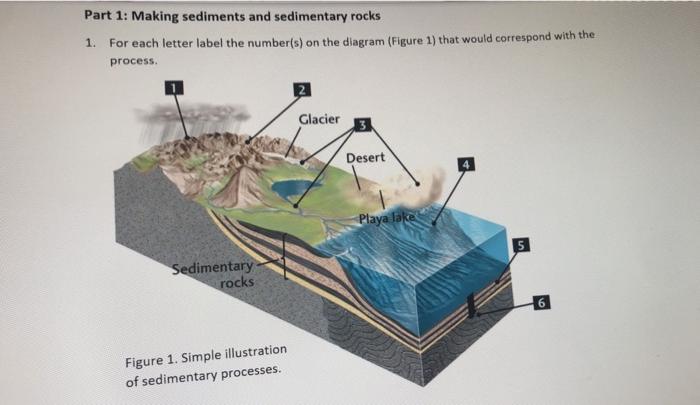 Solved Part 1: Making sediments and sedimentary rocks 1. For | Chegg.com